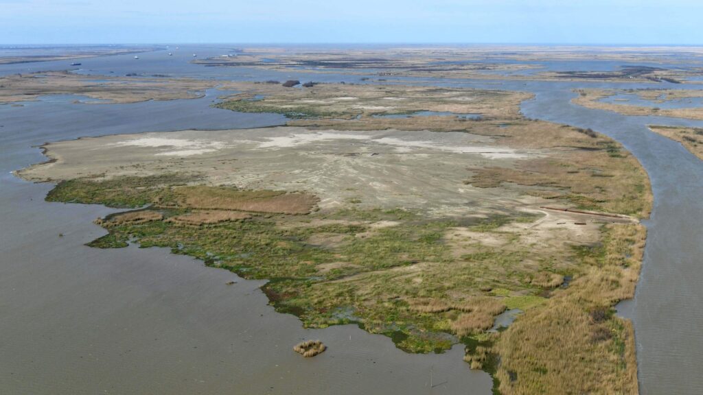 Calcasieu River & Pass, Mile 5.5 To 17.0 | Mike Hooks, LLC
